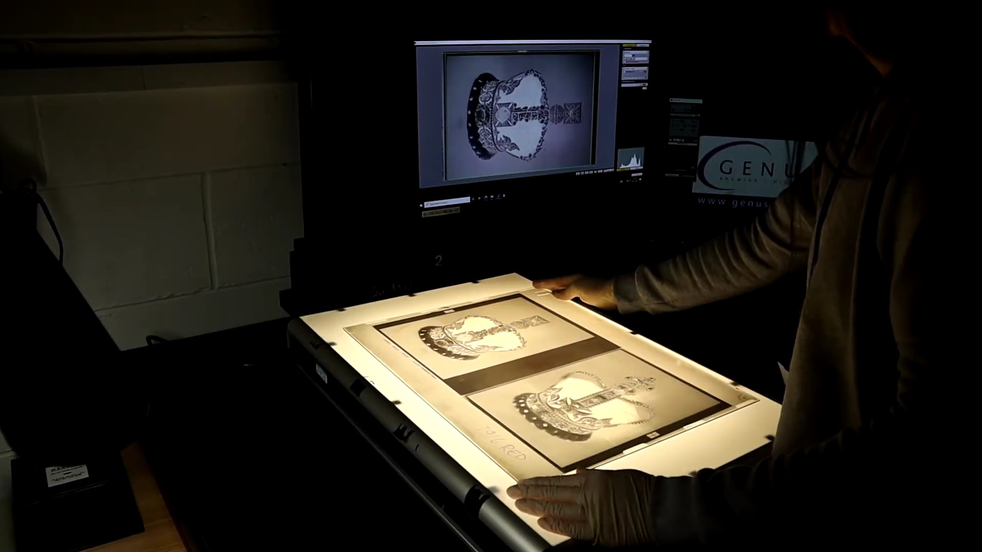 Glass Plate Negatives - Genus