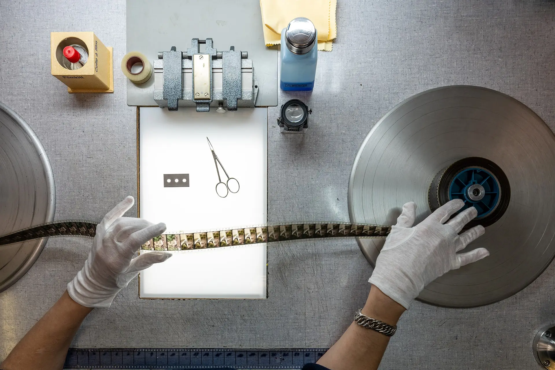 Multimedia Digitisation Services - Genus