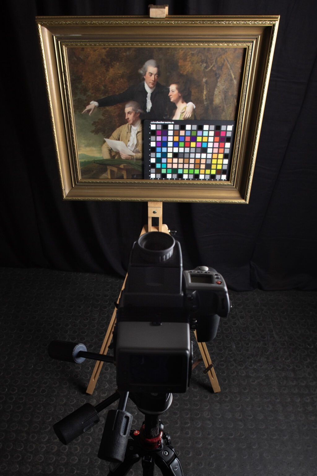 Heritage Photography Service - Genus