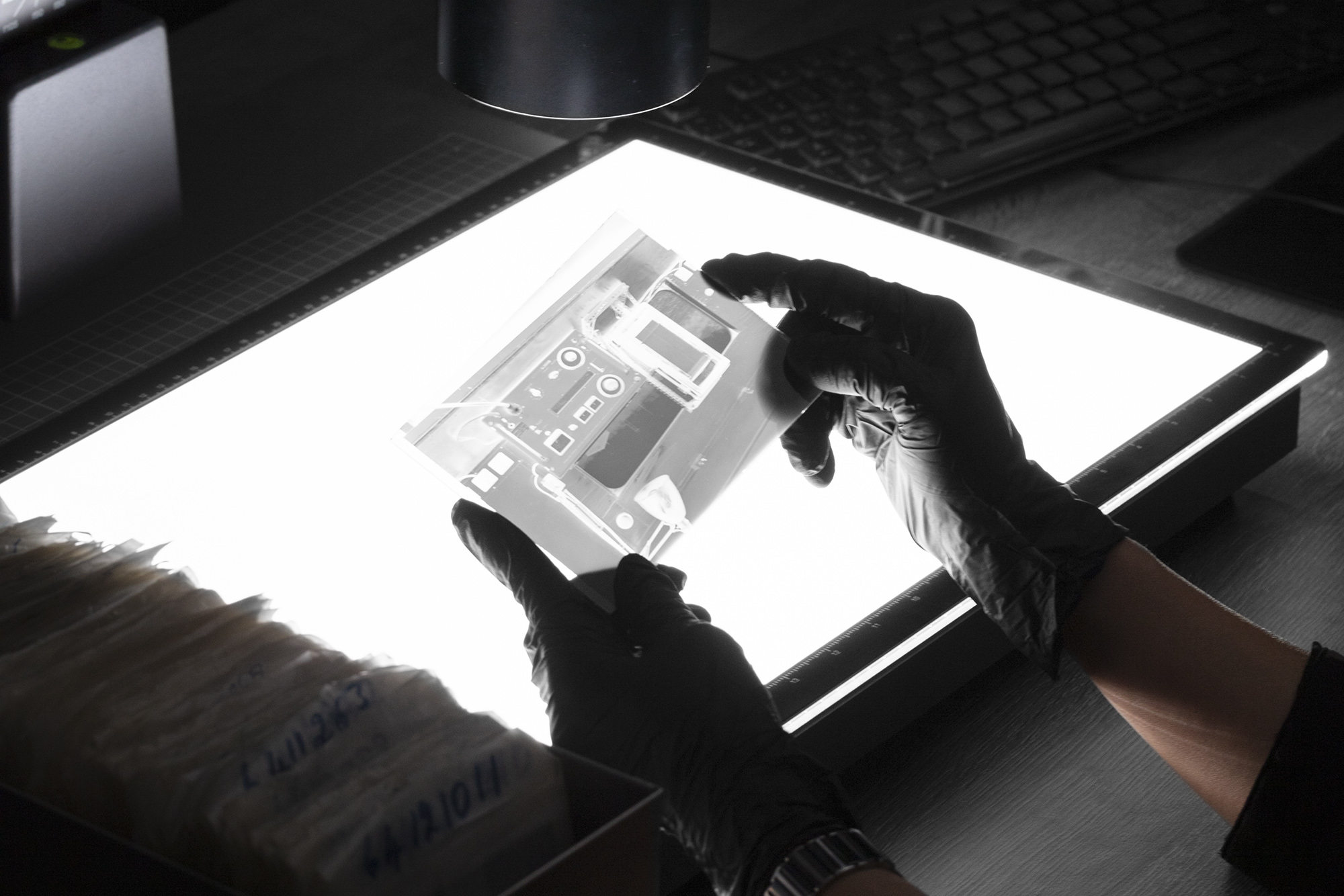 Glass Plate Negatives - Genus